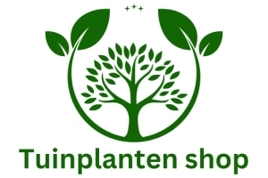 Tuincentra en Tuincentrum Pelckmans: Jouw Groene Oase voor Tuinieren en ...